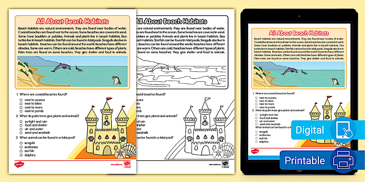 All About Beach Habitat Reading Comprehension Worksheet