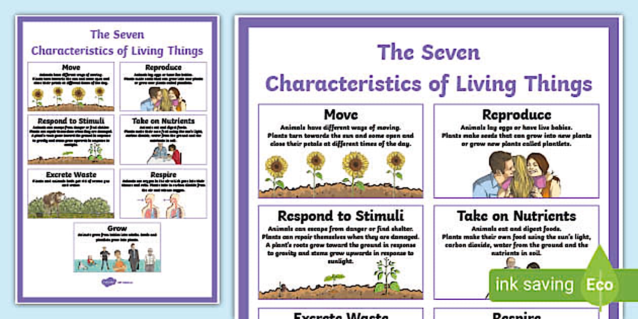 Characteristics Of Living Things Display Poster Twinkl