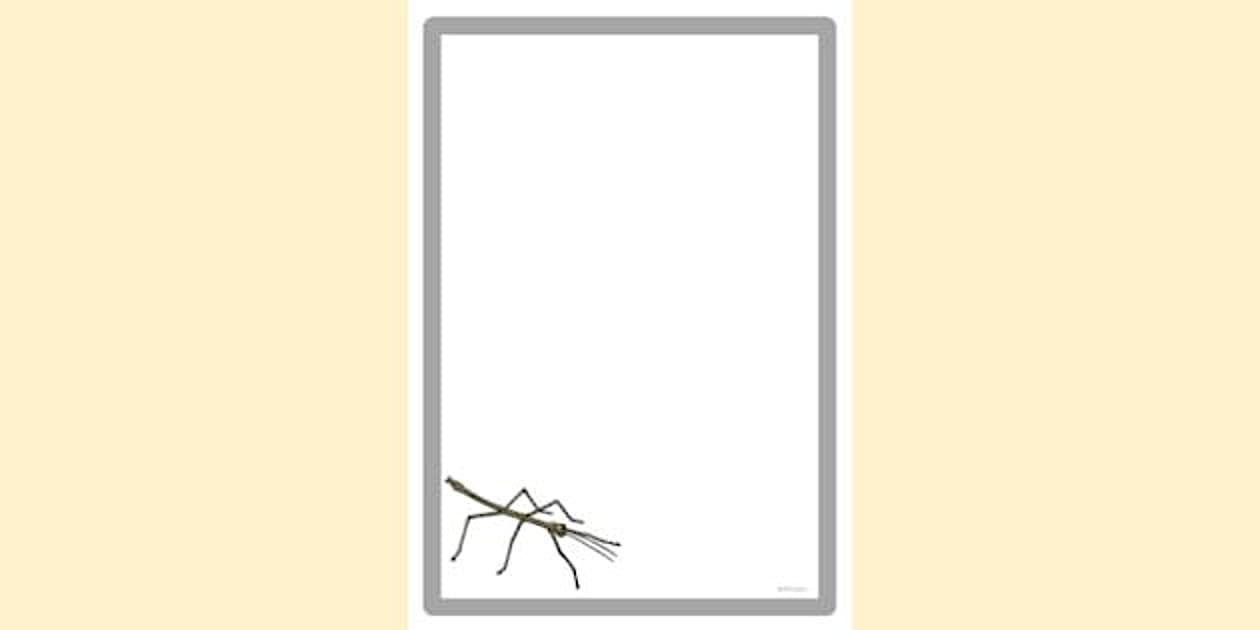 Insect Page Border (teacher made) - Twinkl