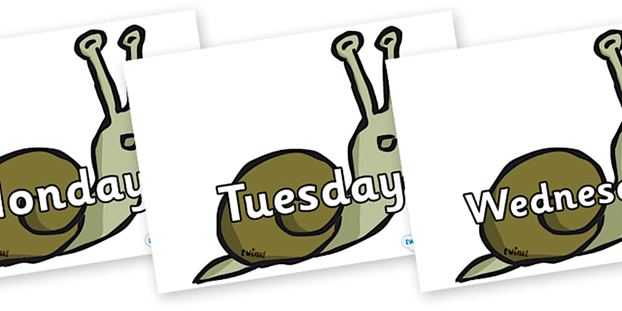Days of the Week on Snails (teacher made) - Twinkl