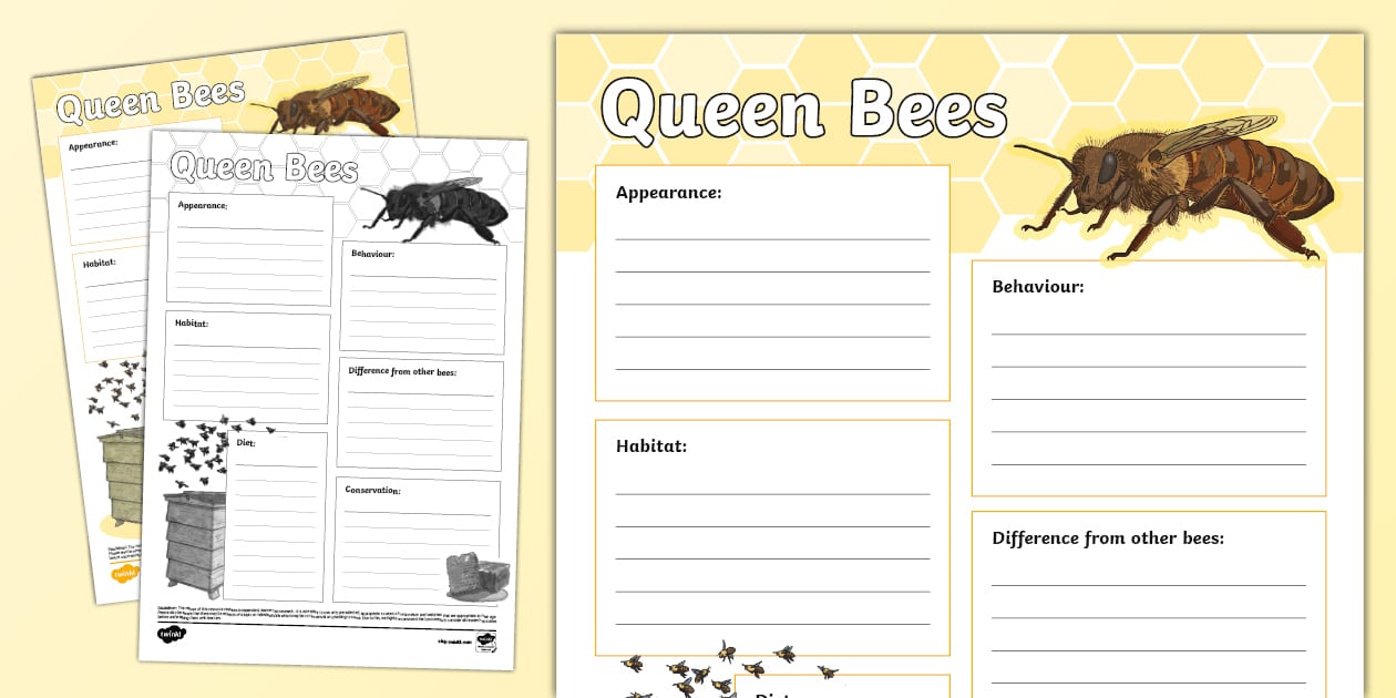 Queen Bees Fact File Template - Twinkl Science - Twinkl