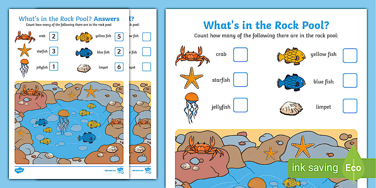 Editable Rock Pool Counting Activity - Twinkl