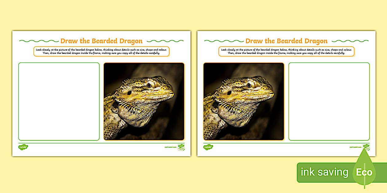 Draw the Bearded Dragon Art Activity, Bearded Dragon