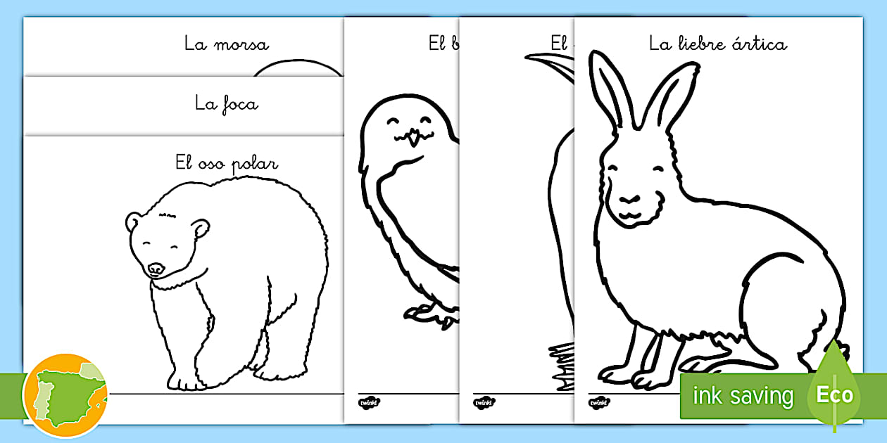 Hojas de colorear: Animales polares - Twinkl