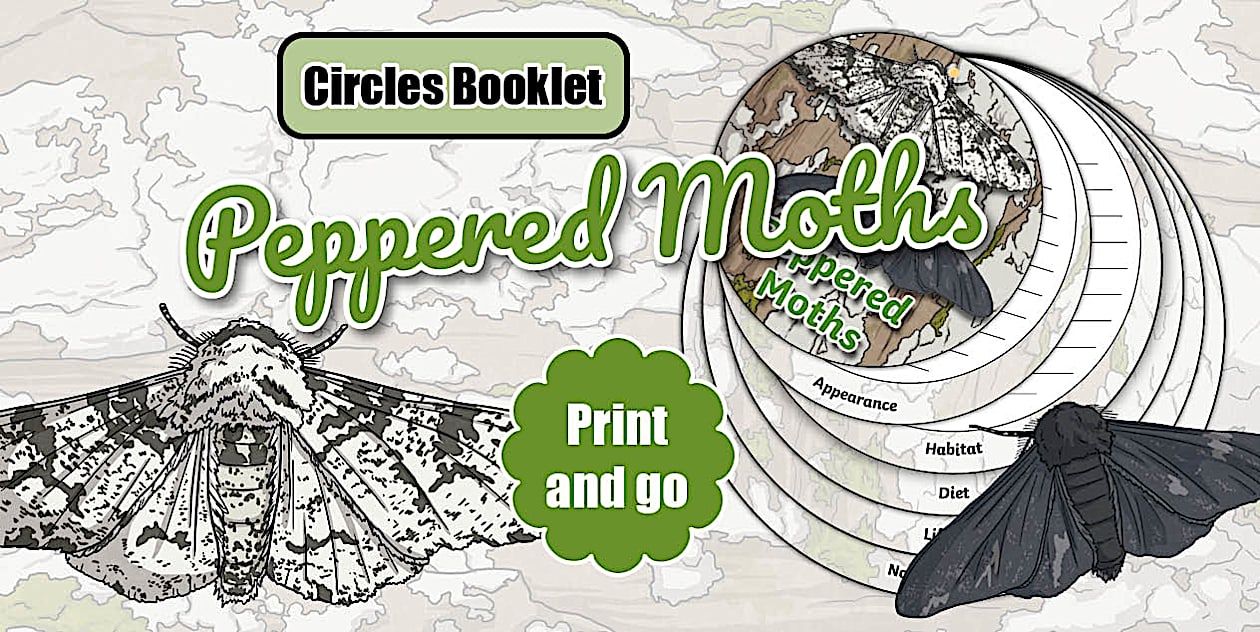 Peppered Moths Circles Booklet