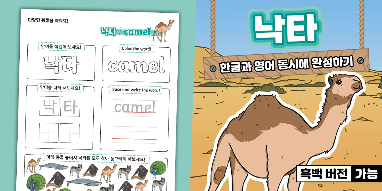한글과 영어 동시에 완성하기 | 동물 | 낙타 | Animal Camel Tracing Activity (Korean ...
