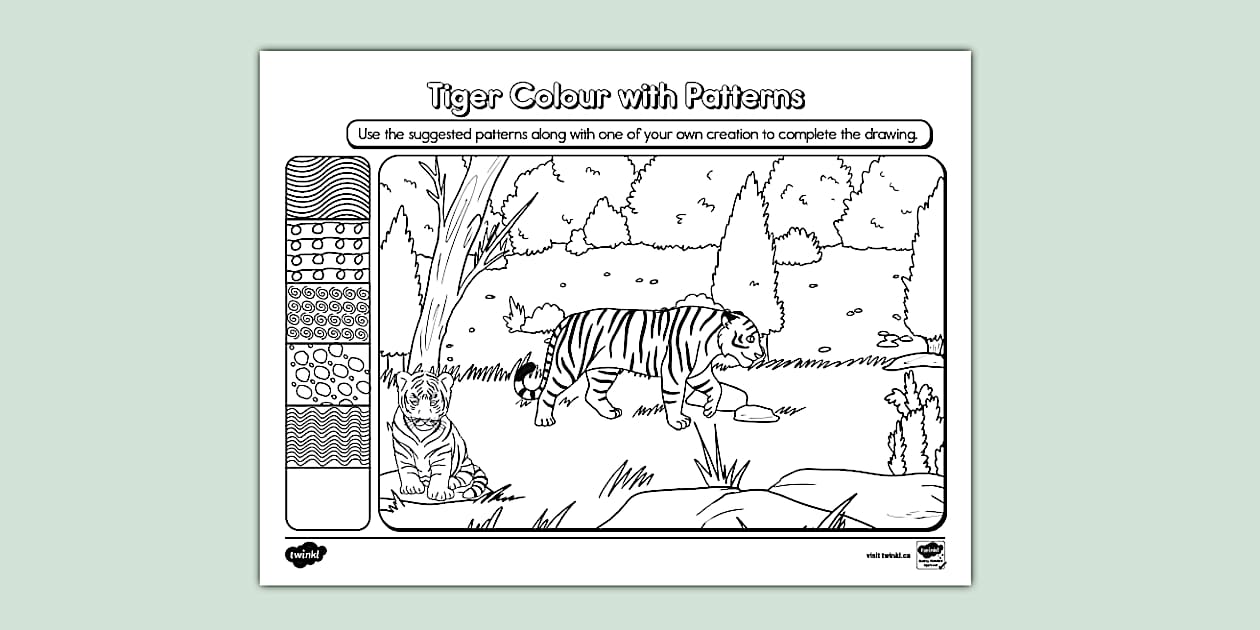 Tiger Colour with Patterns Activity (teacher made) - Twinkl