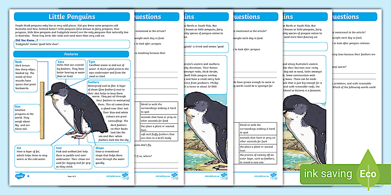 Little Penguins Differentiated Reading Comprehension