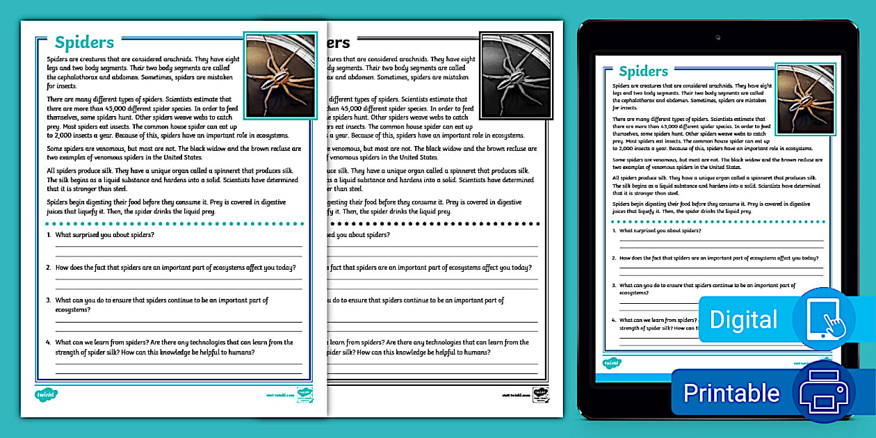 Fourth Grade Spiders Reading Response Worksheet - Twinkl