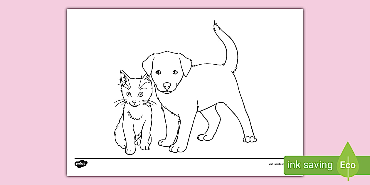 Puppy and Kitten Colouring Sheet | Worksheets | Twinkl