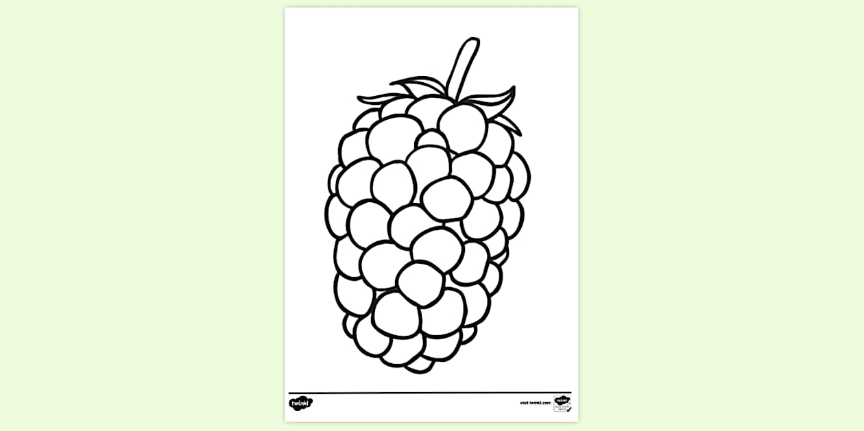 Blackberry Colouring Sheet | Colouring Sheets (teacher made)