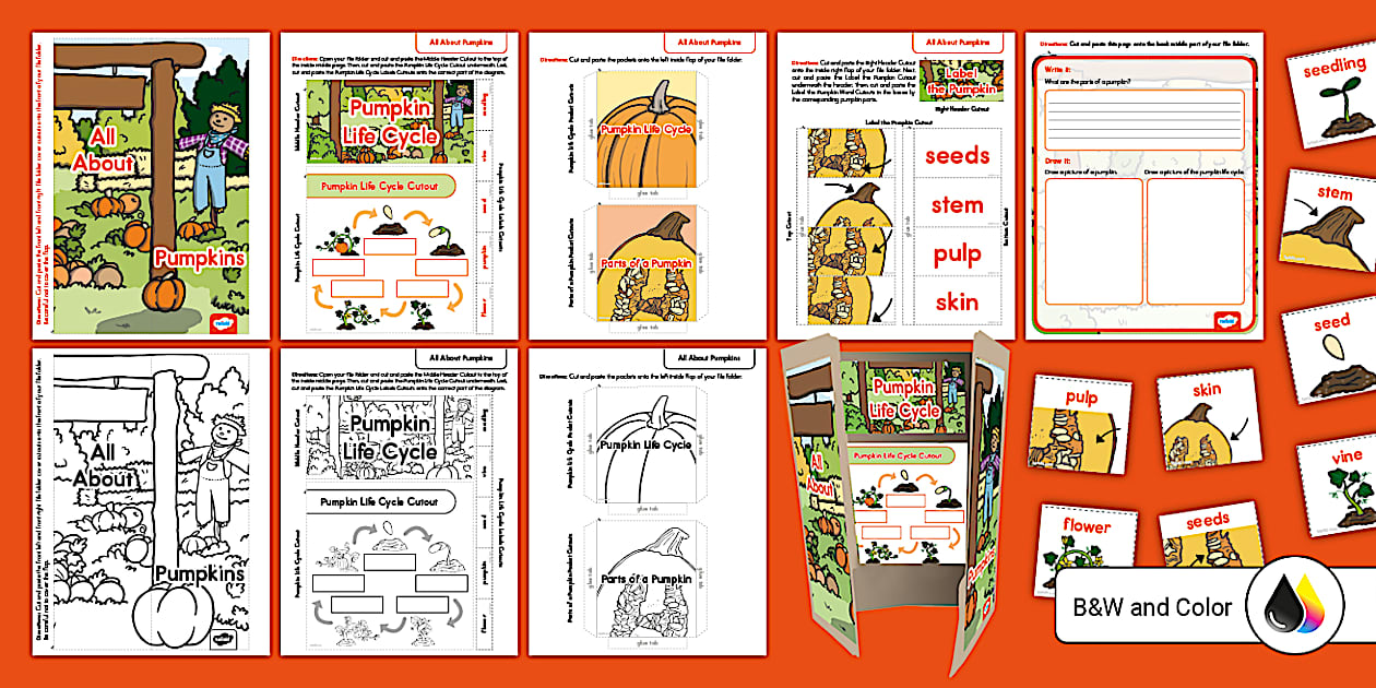 Kindergarten All About Pumpkins Trifold File Folder - Twinkl
