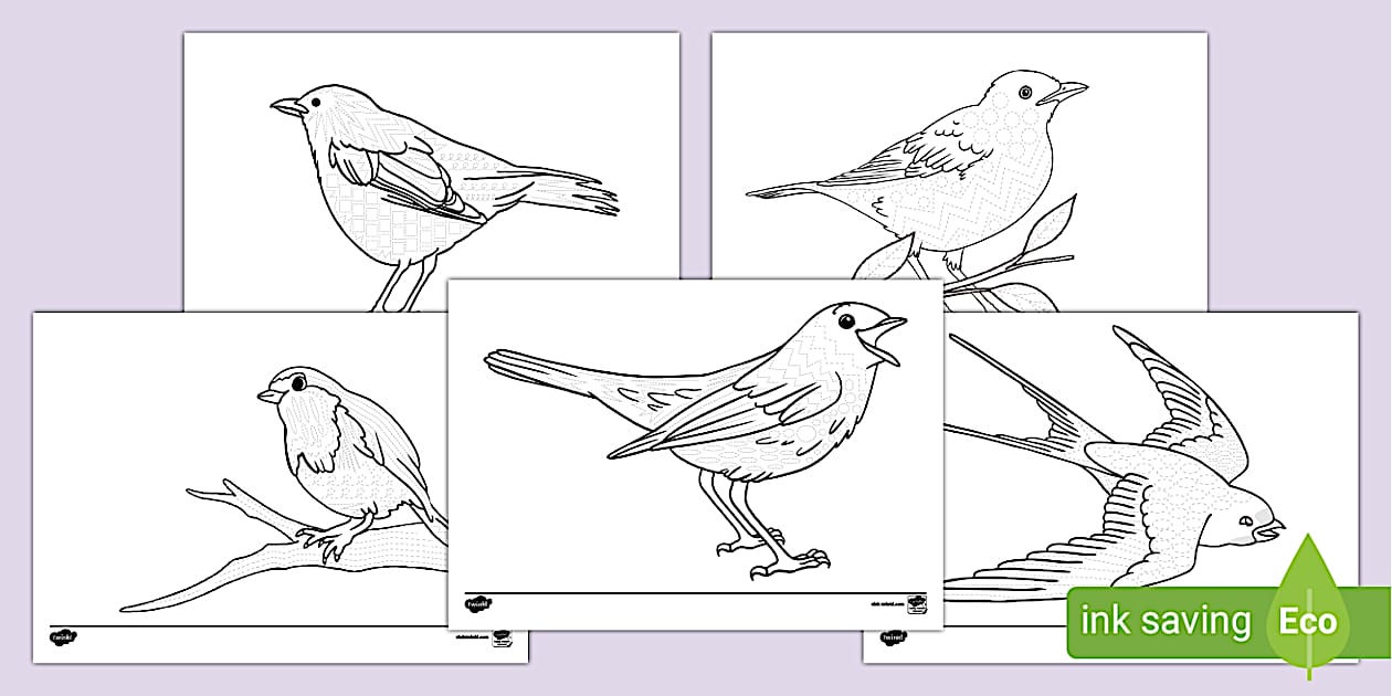 Spring Birds Pattern Tracing Activity - Twinkl