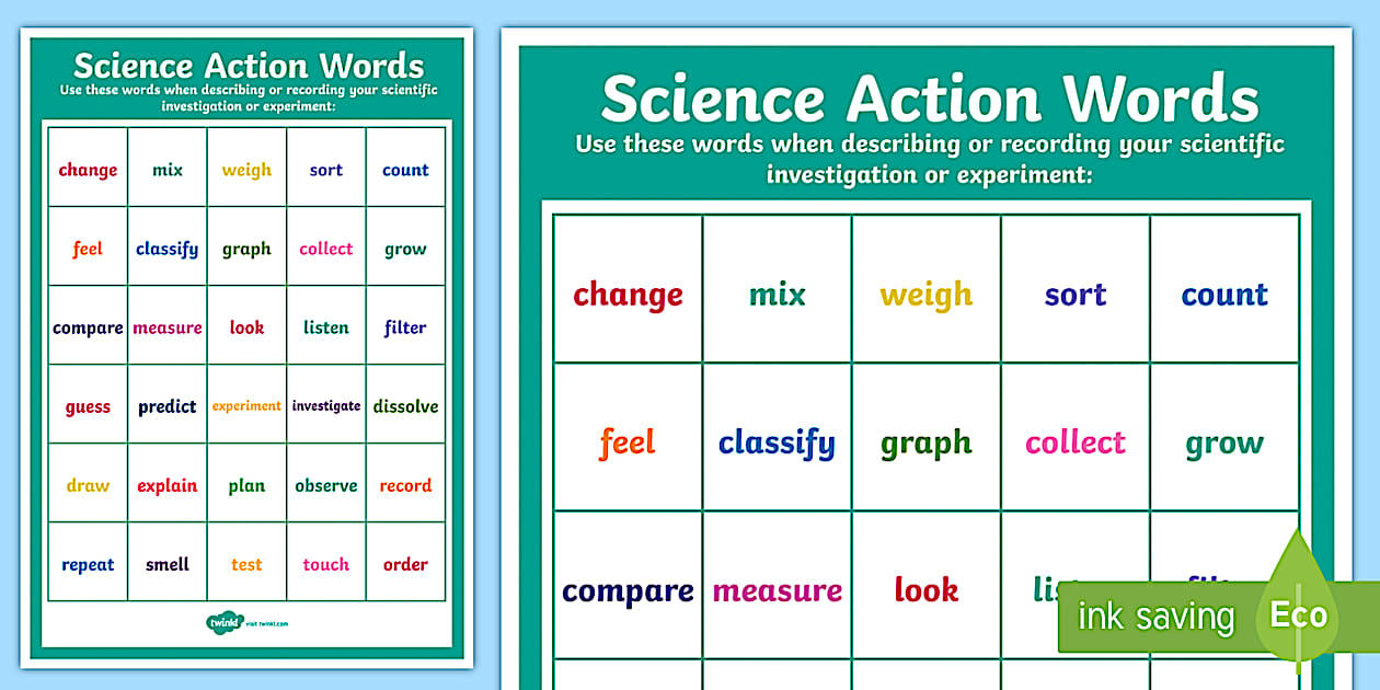 Science Action Words Display Poster (nauczyciel wykonał) Science Action Words Display Poster (nauczyciel wykonał)