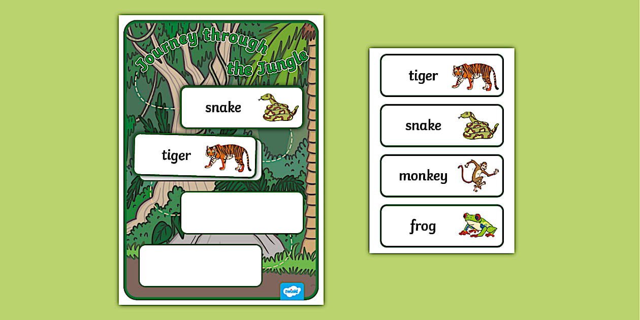 Journey through the Jungle Sequencing Board | Twinkl