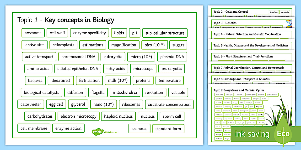 Edexcel Biology Word Mats (teacher made) - Twinkl
