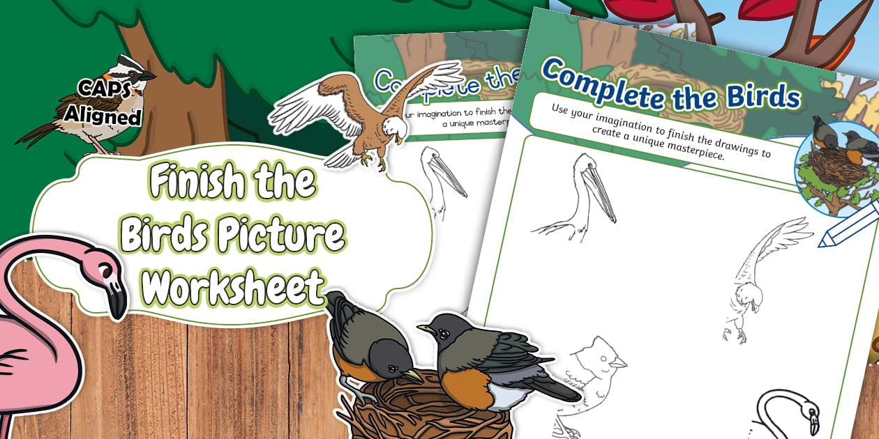 Foundation Phase - Finish the Birds Picture - Worksheet