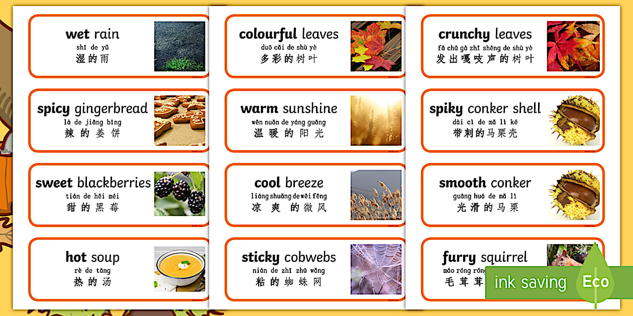 Autumn Senses Word Cards English/Mandarin Chinese/Pinyin - Autumn ...