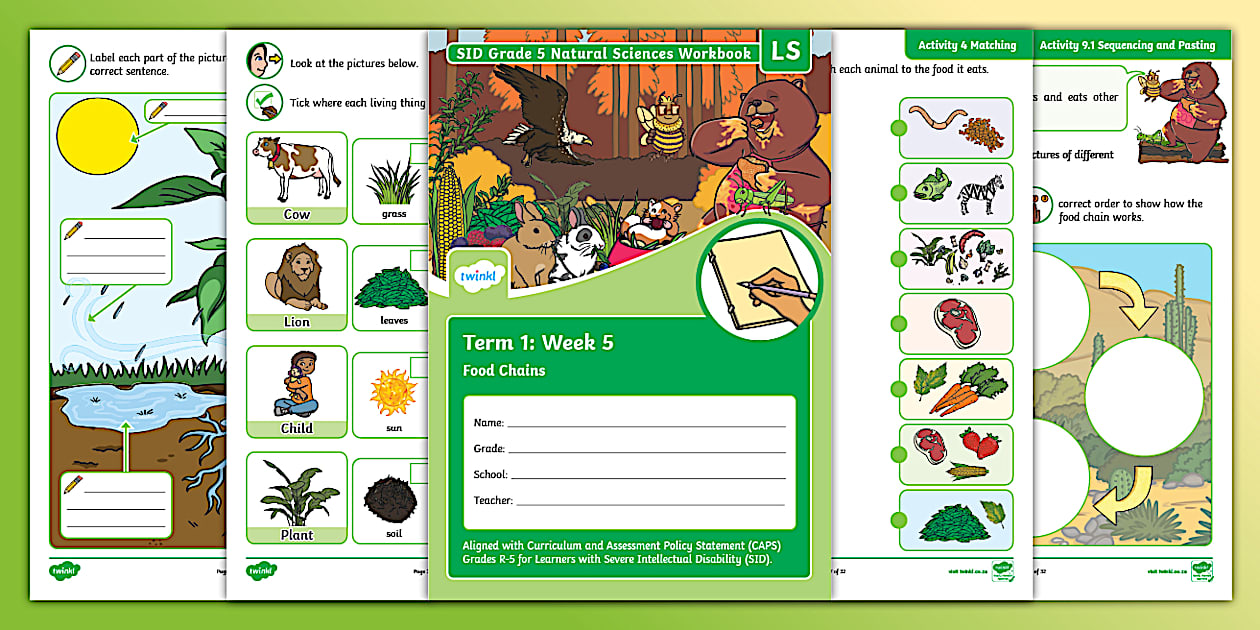 SID: Grade 5 Natural Sciences Booklet Term 1 Week 5 LS