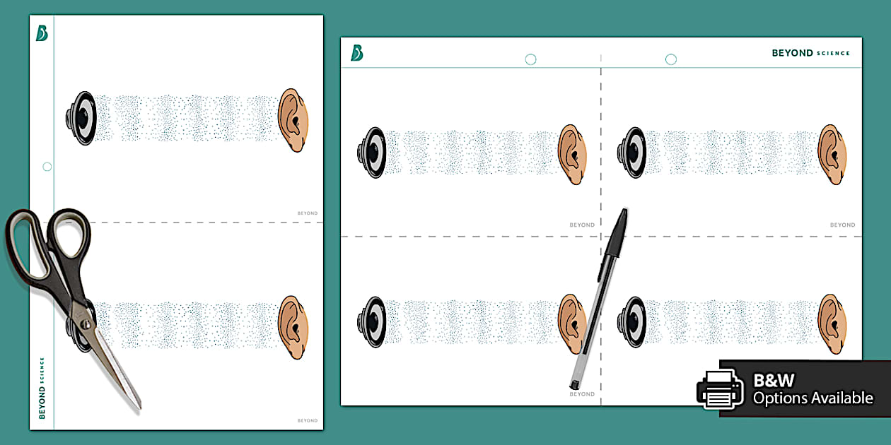 Longitudinal Wave Illustrations (teacher made) - Twinkl