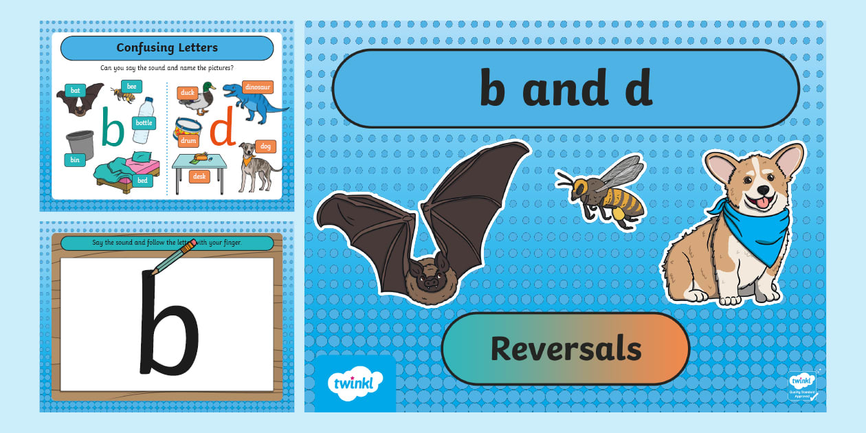 b and d Reversals PowerPoint (teacher made) - Twinkl