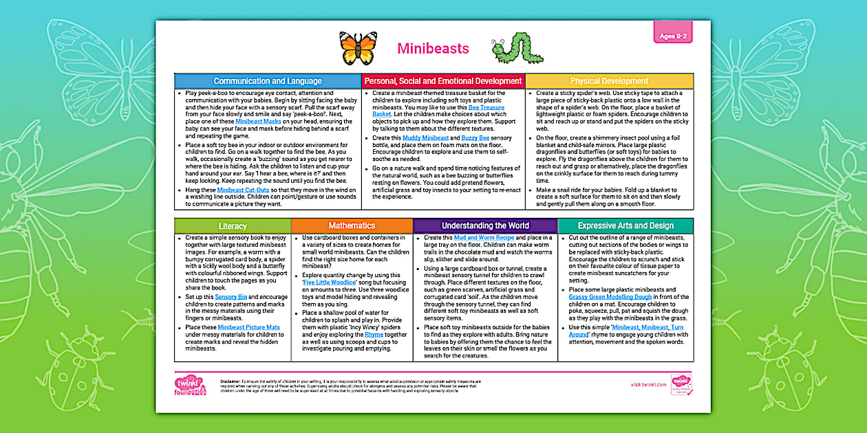 EYFS Ages 0-2 Topic Planning Web: Minibeasts | Twinkl