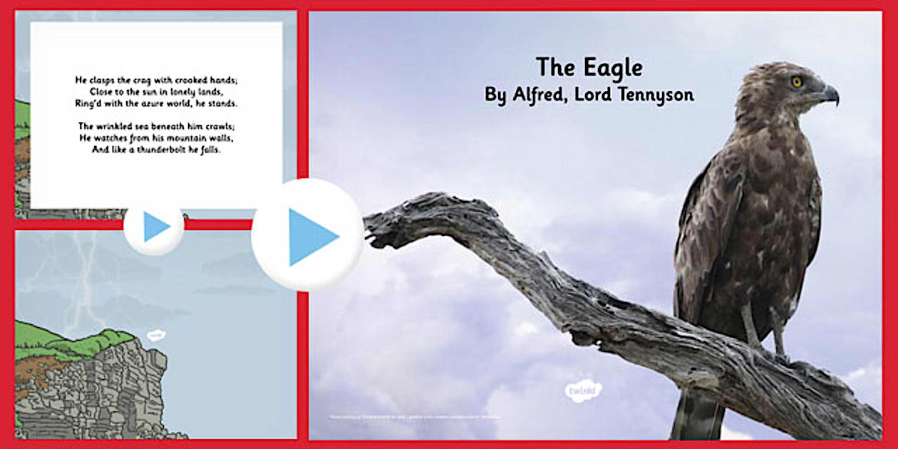 The Eagle' by Alfred Lord Tennyson Poem PowerPoint