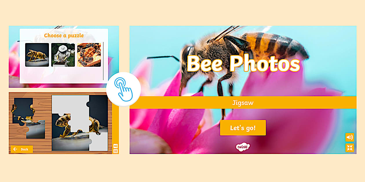 Bee Photos Interactive Jigsaw (teacher made) - Twinkl