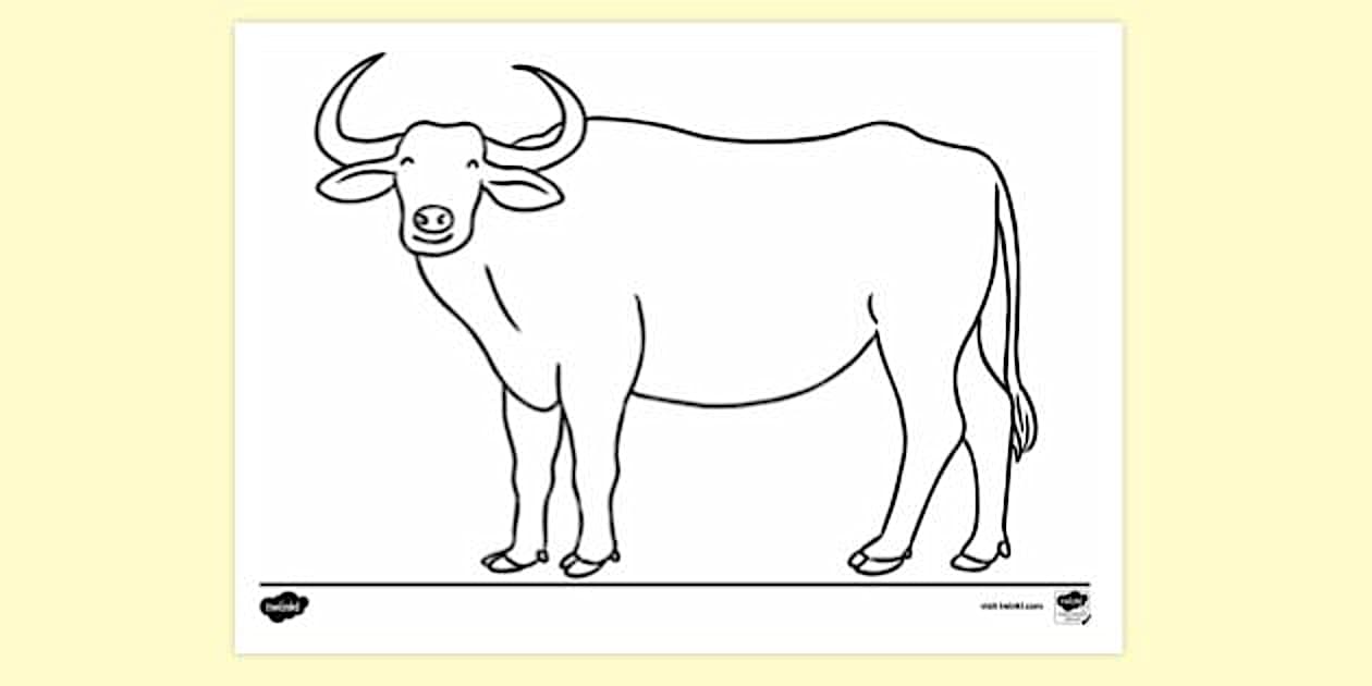 Buffalo Colouring Sheet - Primary Resources - Twinkl