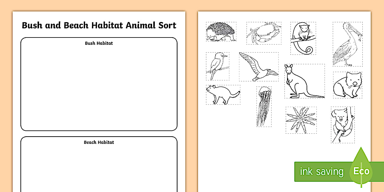 NSW Bush and Beach Habitat Animal Sort Worksheets - Twinkl