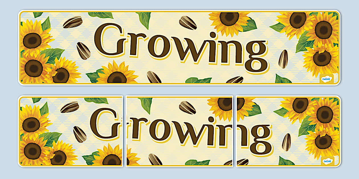 Sunflower-Themed Growing Display Banner (teacher made)