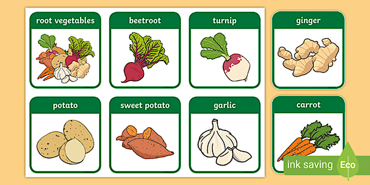 SA Root Vegetables Flashcards (teacher made) - Twinkl