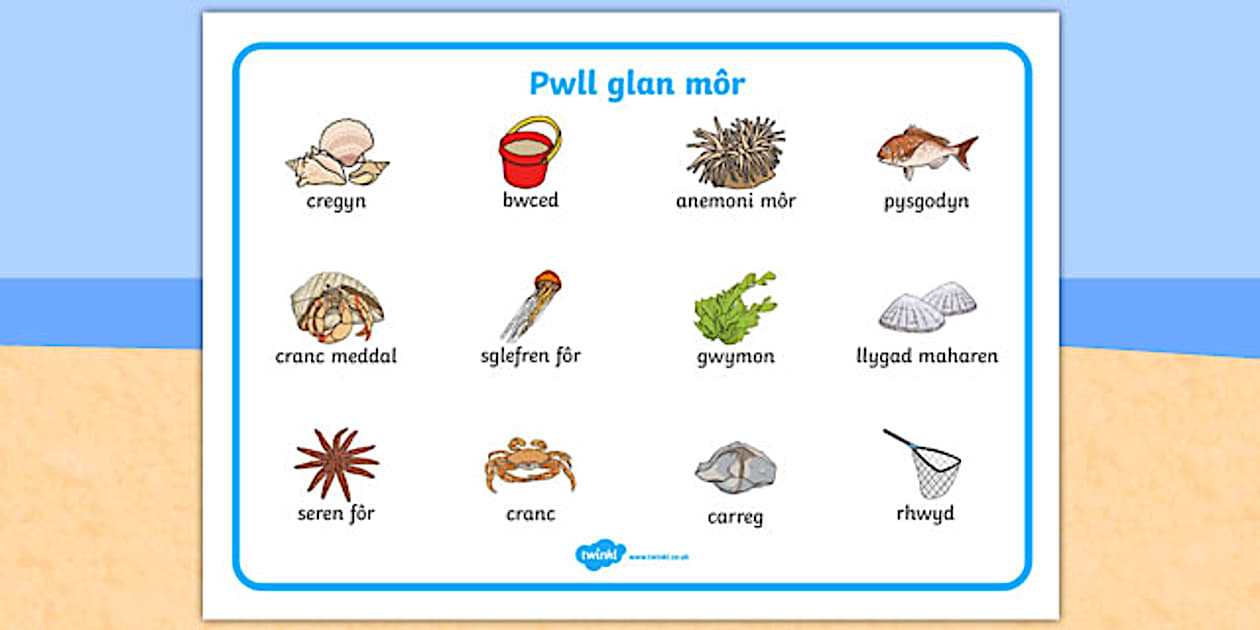 Mat Geiriau Pwll Glan Môr (teacher made) - Twinkl
