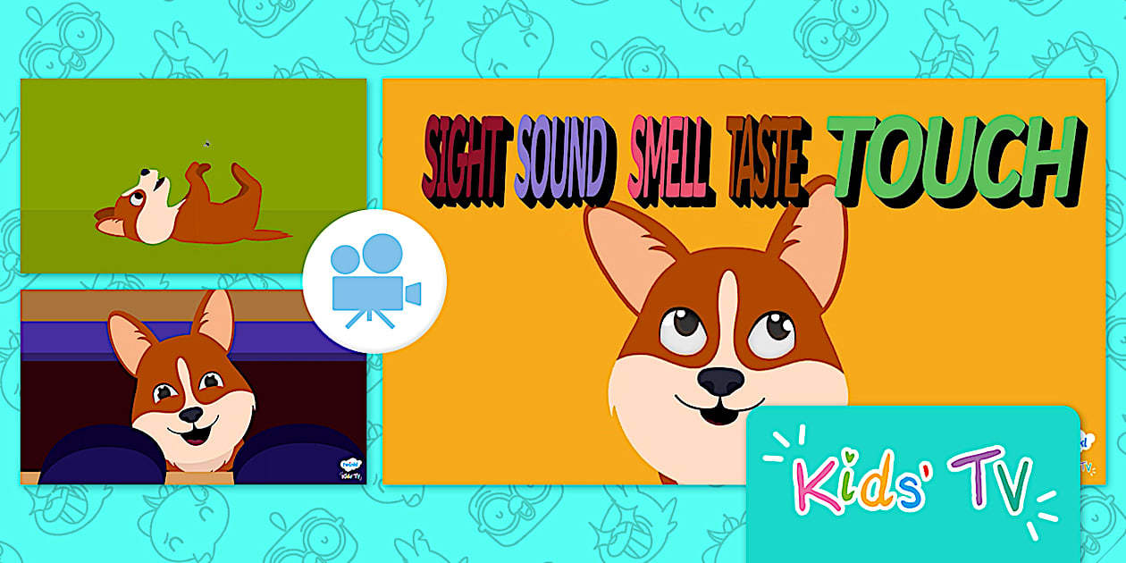 5 Senses Song for Kids - Twinkl Kids' TV | EYFS