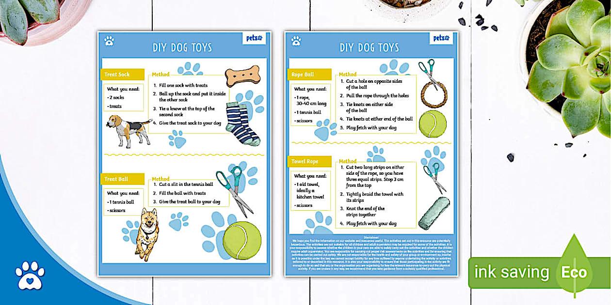 Dog Toys Activity Information Sheet - Twinkl Pets - Resource