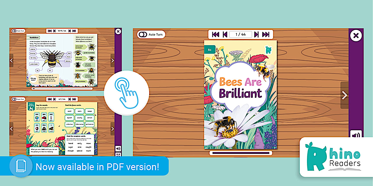 Level 6c Decodable Readers: Bees Are Brilliant - Twinkl