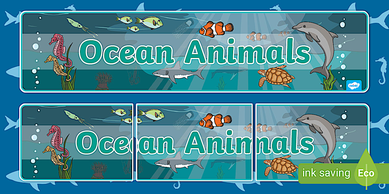 Ocean Animals Display Banner - Twinkl - KS1