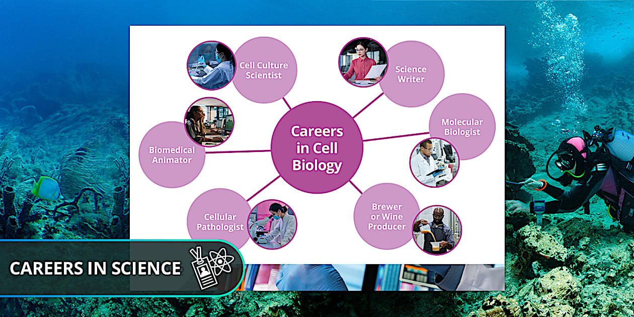 Careers in Cell Biology Poster | Beyond Science - Twinkl