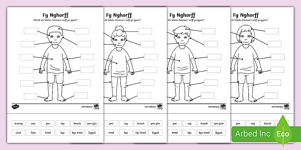 Taflen Weithgaredd Labeli'r Corff (teacher made) - Twinkl