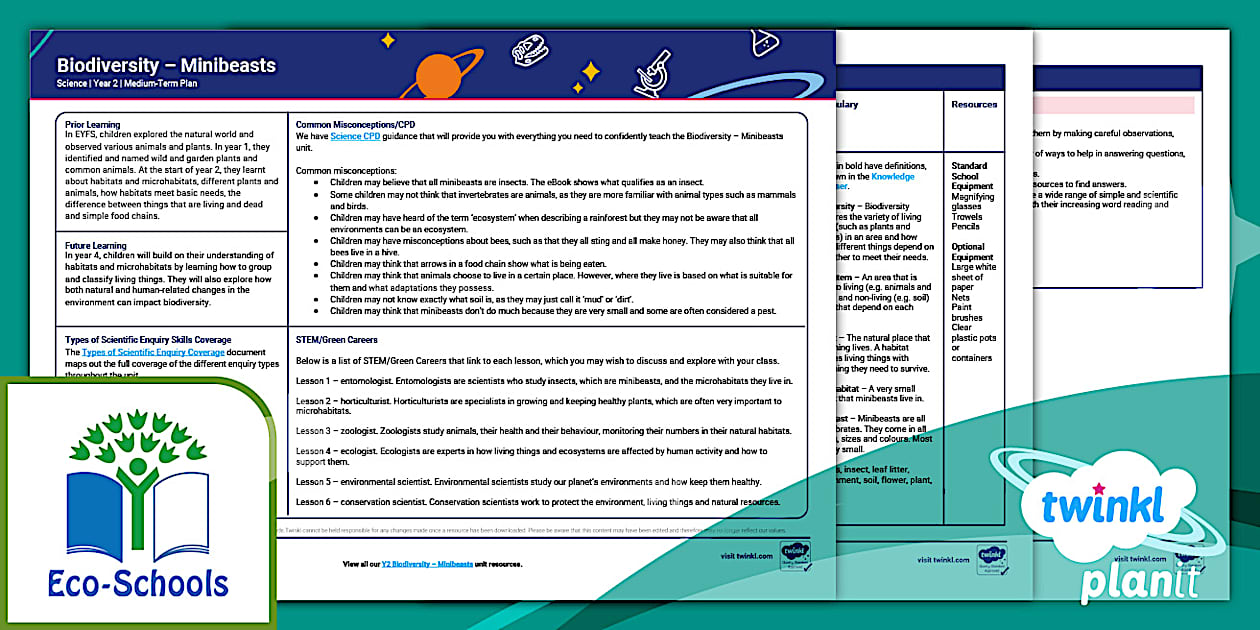 Science: Biodiversity – Minibeasts: Year 2 Medium-Term Plan