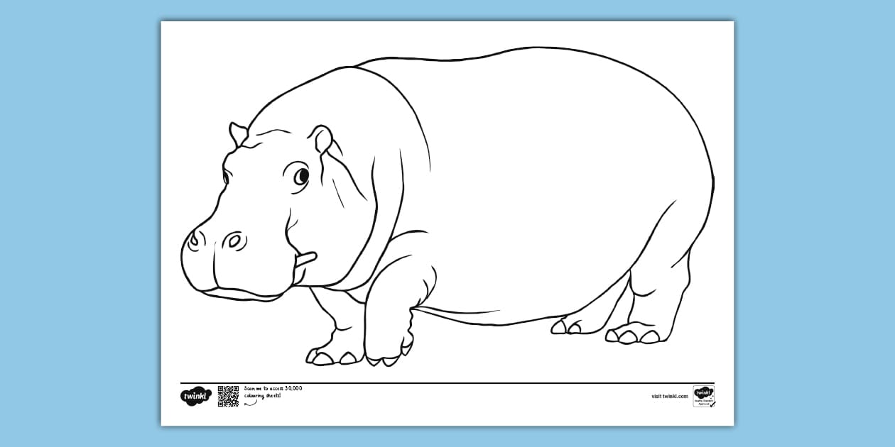 Hippo Colouring Page | Colouring Sheets (teacher made)
