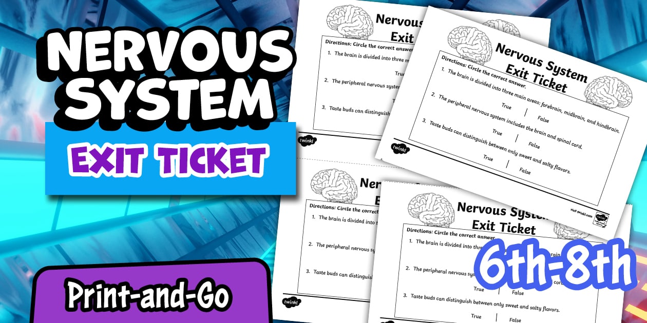 Nervous System Exit Ticket for 6th-8th Grade (teacher made)