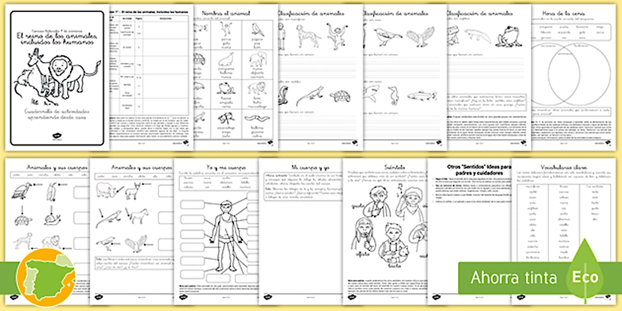 Cuadernillo: Los animales y los humanos - Twinkl