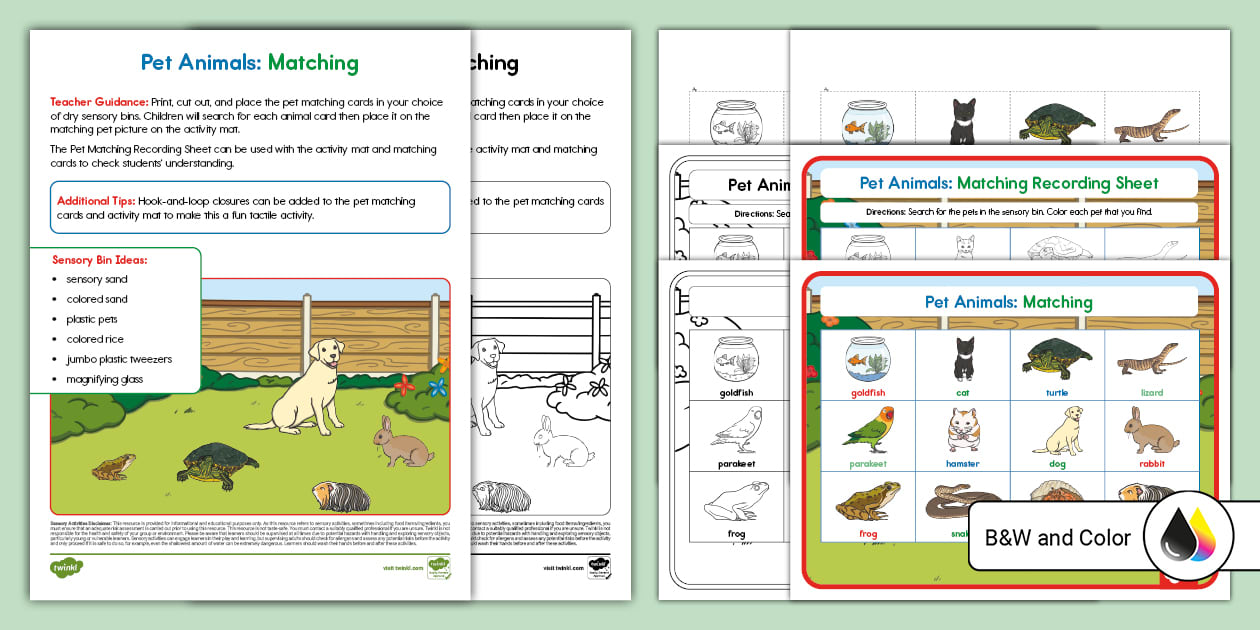 Pets Sensory Bin Matching Activity Mat (teacher made)