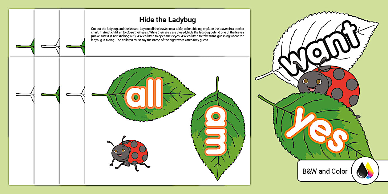 Kindergarten Hide the Ladybug Sight Word Worksheet - Twinkl