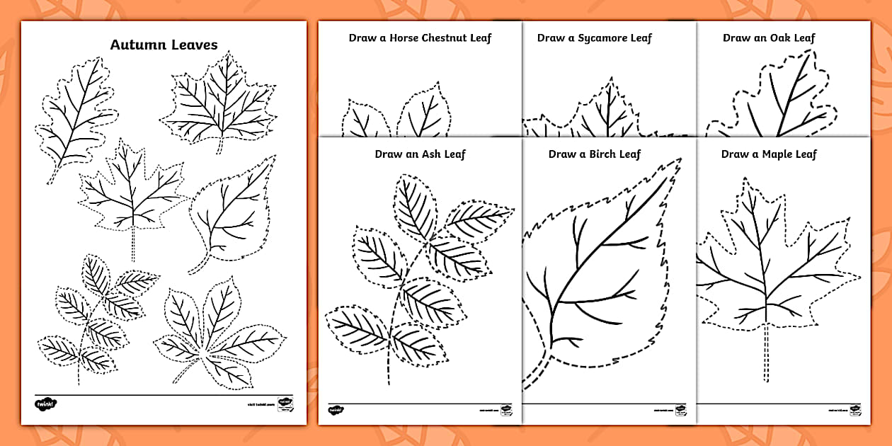 EYFS Draw Autumn Leaves Pencil Control Activity Pack