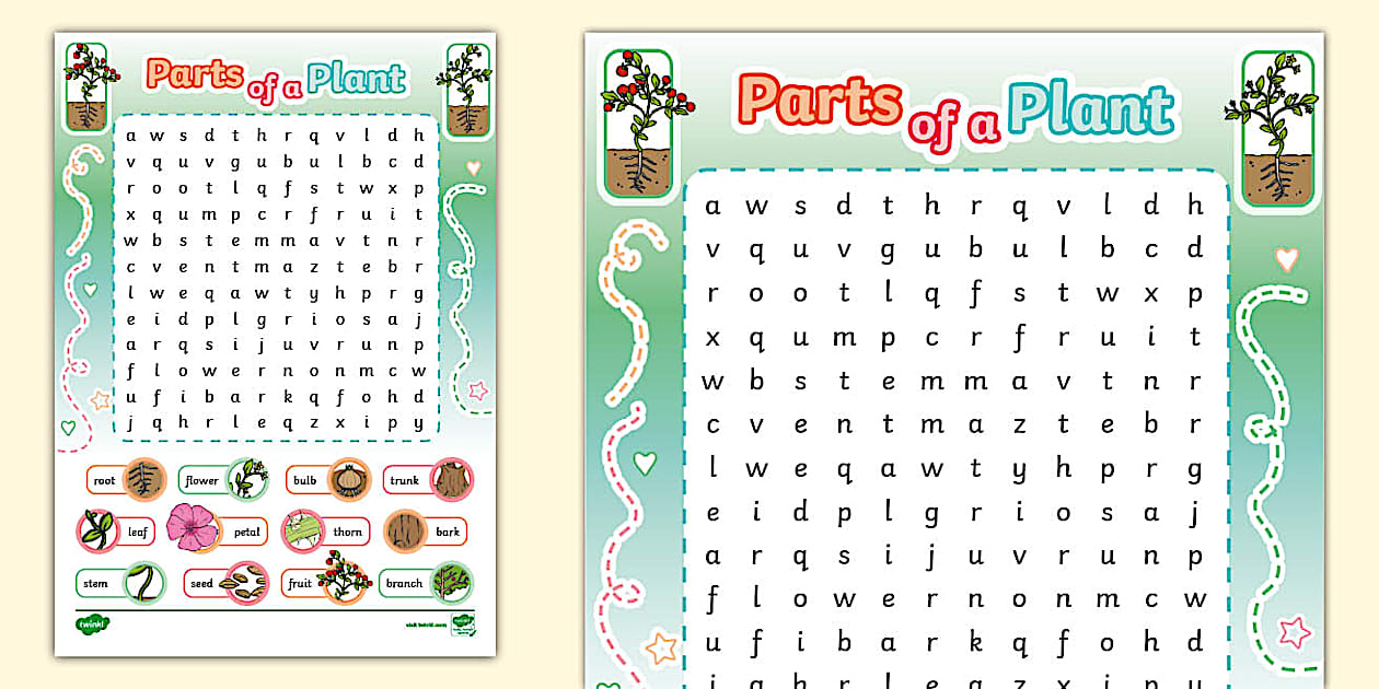 KS1 Parts of a Plant Word Search - Plants (teacher made)
