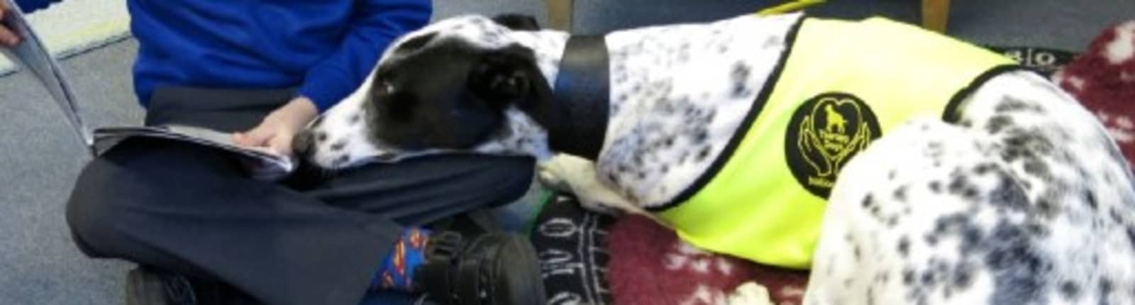 How therapy dogs can have an indelible impact on young children’s reading
