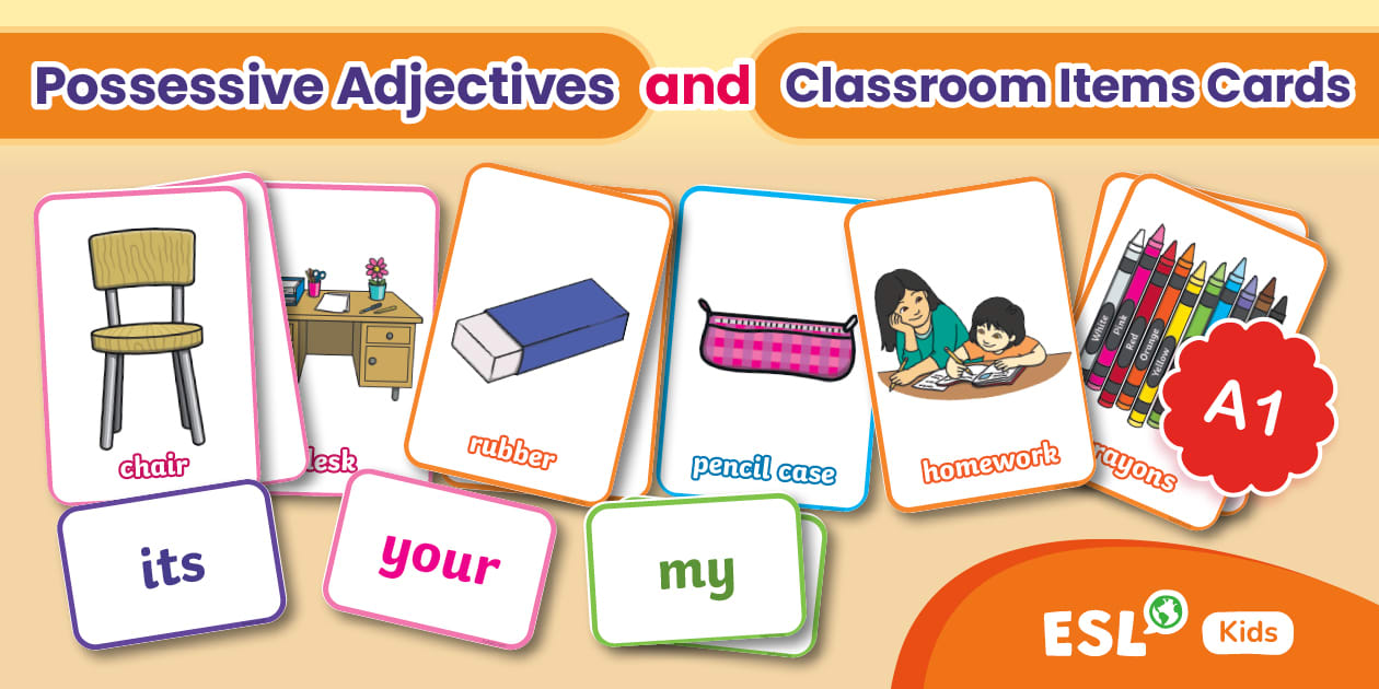 ESL Possessive Adjectives Cards for Kids