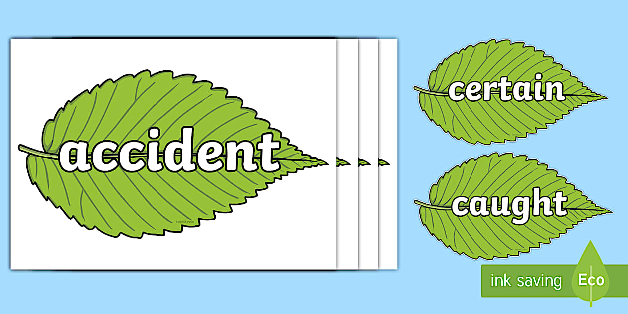Cursive Year 3 and 4 Common Exception Words on Leaves